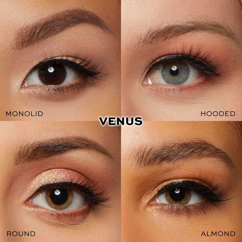 Venus Lashes | Glamnetic – glamnetic